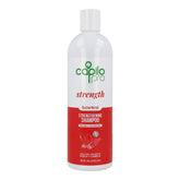 Capilo - Capilo Shampoos